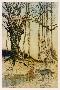 'Rackham, Red R.H. and Wolf' Prints - Arthur Rackham | AllPosters.com