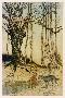 Rackham, Red R.H. and Wolf Prints - Arthur Rackham | AllPosters.com