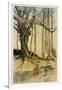 'Rackham, Red R.H. and Wolf' Prints - Arthur Rackham | AllPosters.com