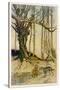'Rackham, Red R.H. and Wolf' Prints - Arthur Rackham | AllPosters.com