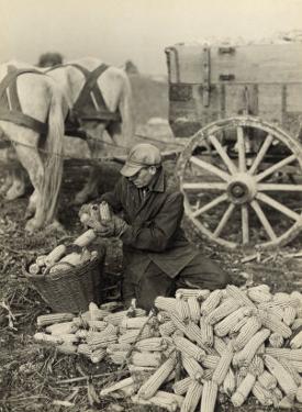 Arthur Rothstein Posters, Prints, Paintings & Wall Art | AllPosters.com