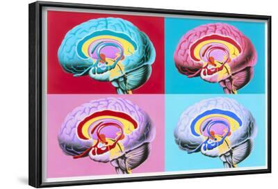 'Artworks Showing the Limbic System of the Brain' Photographic Print ...