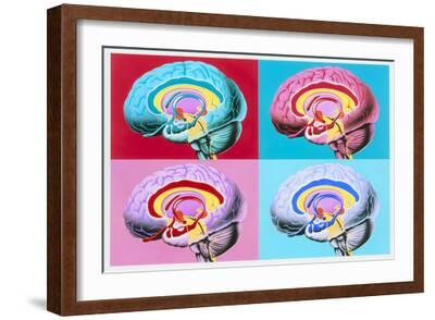 'Artworks Showing the Limbic System of the Brain' Photographic Print ...