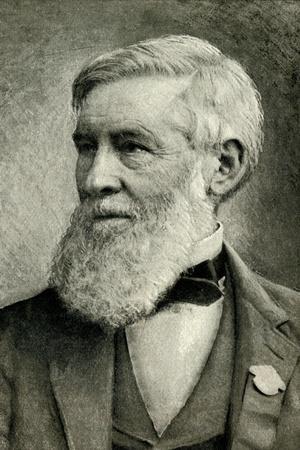 Asa Gray (Anon) | AllPosters.com