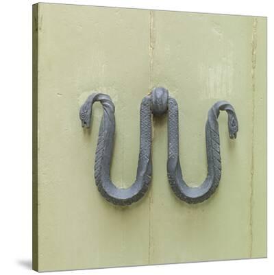 'Serpent Rapper' Stretched Canvas Print - Assaf Frank | AllPosters.com