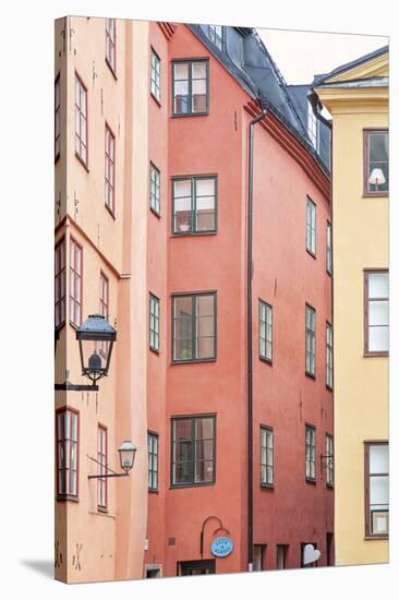 Astounding Abode Stretched Canvas Print Irene Suchocki