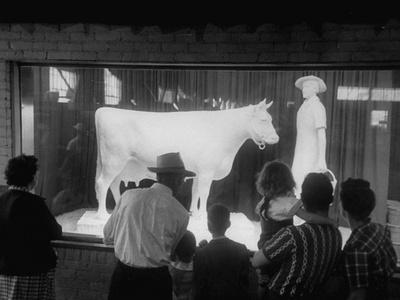 'At State Fair, Butter Sculpture of a Cow and Milkmaid Was Made from ...