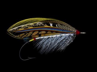 'Atlantic Salmon Fly designs 'Silver Doctor'' Photographic Print ...