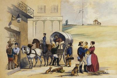 'Australian Gold Diggers in the Australian Digger, 1855' Giclee Print ...