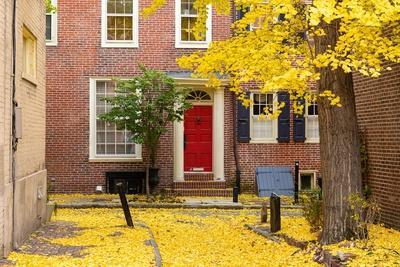 Autumn alleyway in a traditional neighborhood in Philadelphia ...