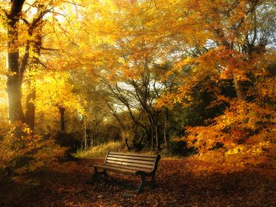 'Autumn Break' Photographic Print - Philippe Manguin | AllPosters.com