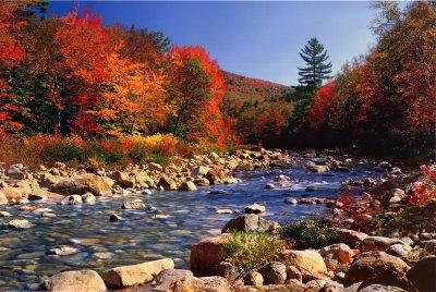 'Autumn Brook' Poster | AllPosters.com