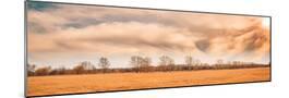 Autumn landscape and dramatic sky. Trees and meadow field under cloudy ...