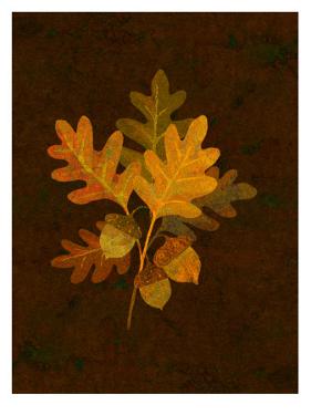 Affordable Acorn Posters for sale at AllPosters.com