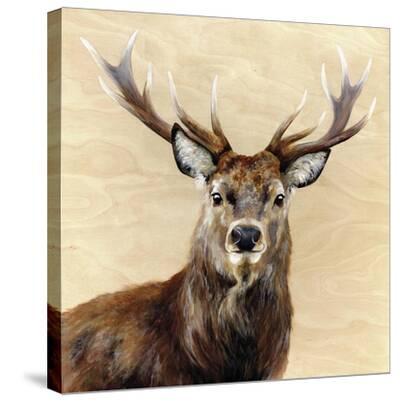 'Ayal' Stretched Canvas Print - Janie Howe | AllPosters.com