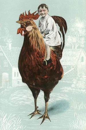 'Baby Riding Giant Rooster' Posters | AllPosters.com
