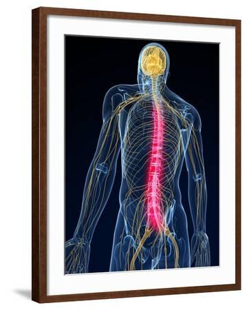 'Back Pain, Conceptual Artwork' Photographic Print - SCIEPRO ...