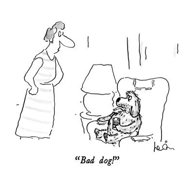 Bad Dog Cartoon