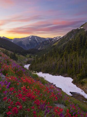 'Badger Valley Sunrise, Olympic National Park, Washington, USA ...
