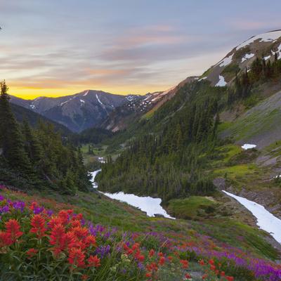 'Badger Valley Sunrise, Olympic National Park, Washington, USA ...