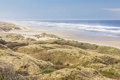 'Baker Beach, Oregon, USA. Grassy dunes and a sandy beach on the Oregon ...