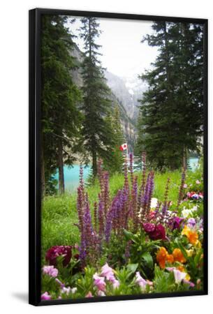 'Banff Flowers In National Park Nature Photo Poster' Prints ...