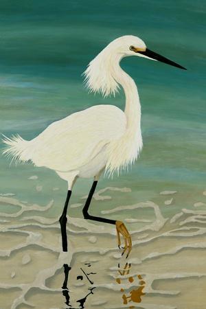 Sassy Snowy - Barbara Fallenbaum | AllPosters.com