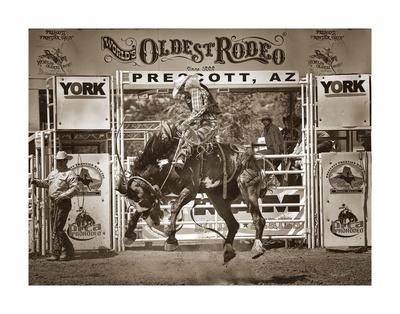 'Buckin’ Paint' Art - Barry Hart | AllPosters.com