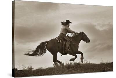 'Color me Gone' Stretched Canvas Print - Barry Hart | AllPosters.com