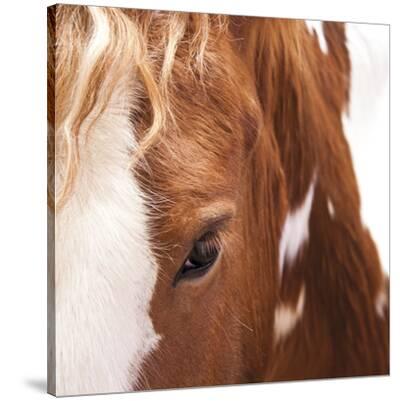 'Bay' Stretched Canvas Print - Ray Hartl | AllPosters.com