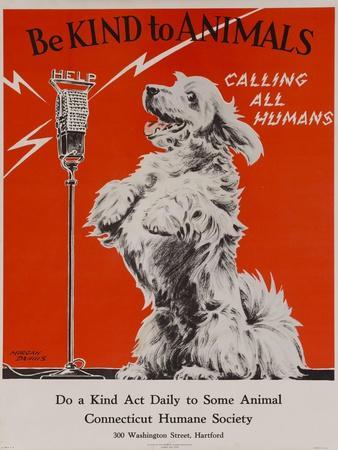 Be Kind to Animals, Calling All Humans, Humane Society Poster Giclee ...