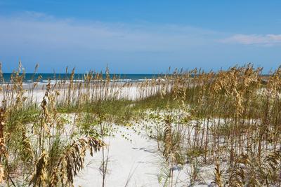 'Beach Scene - Florida - United States' Photographic Print - Philippe ...
