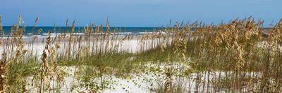 'Beach Scene - Florida - United States' Photographic Print - Philippe ...