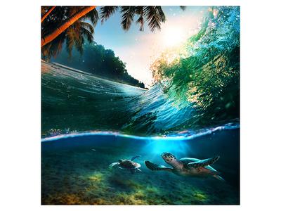 'Beach Sea and Ocean' Posters | AllPosters.com