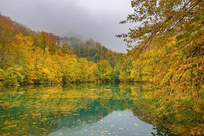 'Beautiful, colorful autumn lake. Amazing water reflection, peaceful ...