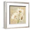 'Beautiful Daisies II' Poster - Daphne Brissonnet | AllPosters.com