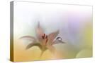 Beautiful Golden Nature Background.Colorful Artistic Wallpaper.Macro ...