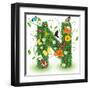 'Beautiful Spring Letter "N"' Prints - Kesu01 | AllPosters.com
