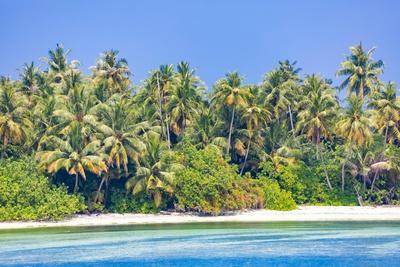 'Beautiful tropical nature background, palm trees and blue sea with ...