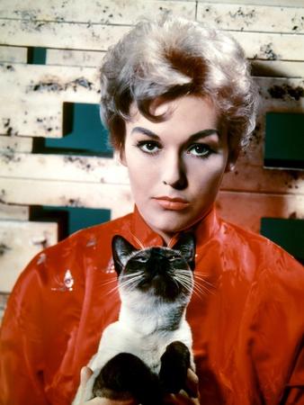 'BELL, BOOK AND CANDLE, 1958 directed by RICHARD QUINE Kim Novak (photo ...