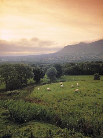 'Ben Bulben, Yeats Country, Co. Sligo, Ireland' Photographic Print ...