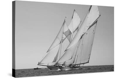'Sailing Harmony' Stretched Canvas Print - Ben Wood | AllPosters.com