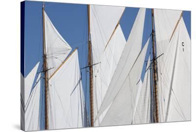 Set Sail Stretched Canvas Print - Ben Wood | AllPosters.com