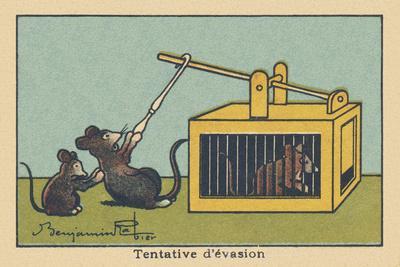 A Rat Tries to Lift the Trap Door to save a Prisoner.” Escape Attempt ...