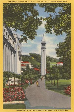 'Berkeley Campanile' Art | AllPosters.com