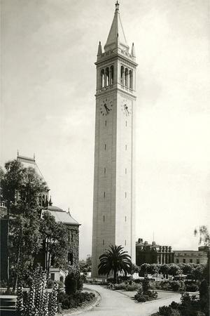 'Berkeley Campanile' Posters | AllPosters.com