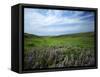 'Big Basin Prairie Preserve, Kansas, USA' Photographic Print - Charles ...