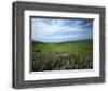 'Big Basin Prairie Preserve, Kansas, USA' Photographic Print - Charles ...