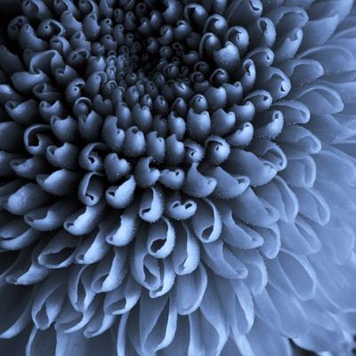 'Big Blue' Photographic Print - Doug Chinnery | AllPosters.com