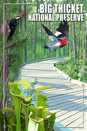 'Big Thicket National Preserve, Texas' Print - Lantern Press ...